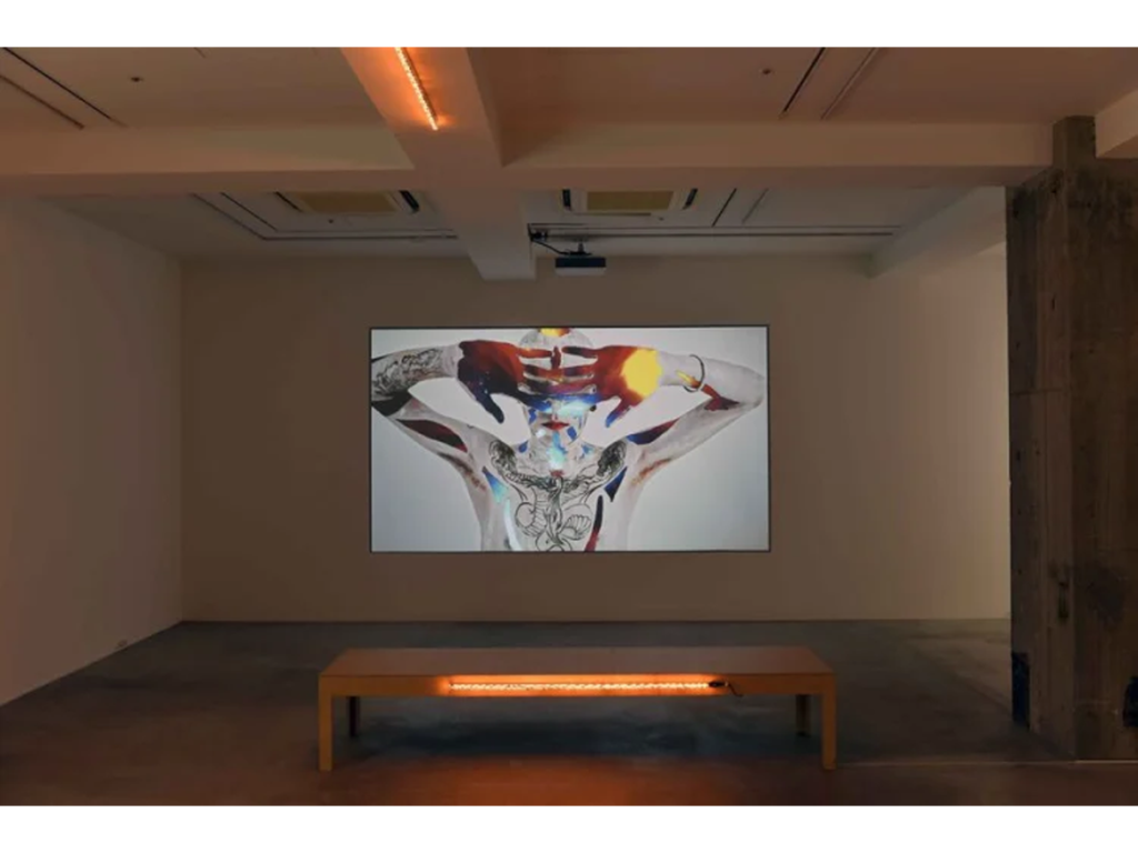 Cheng Ran「The Lament: Mountain Ghost」 - art-index.net